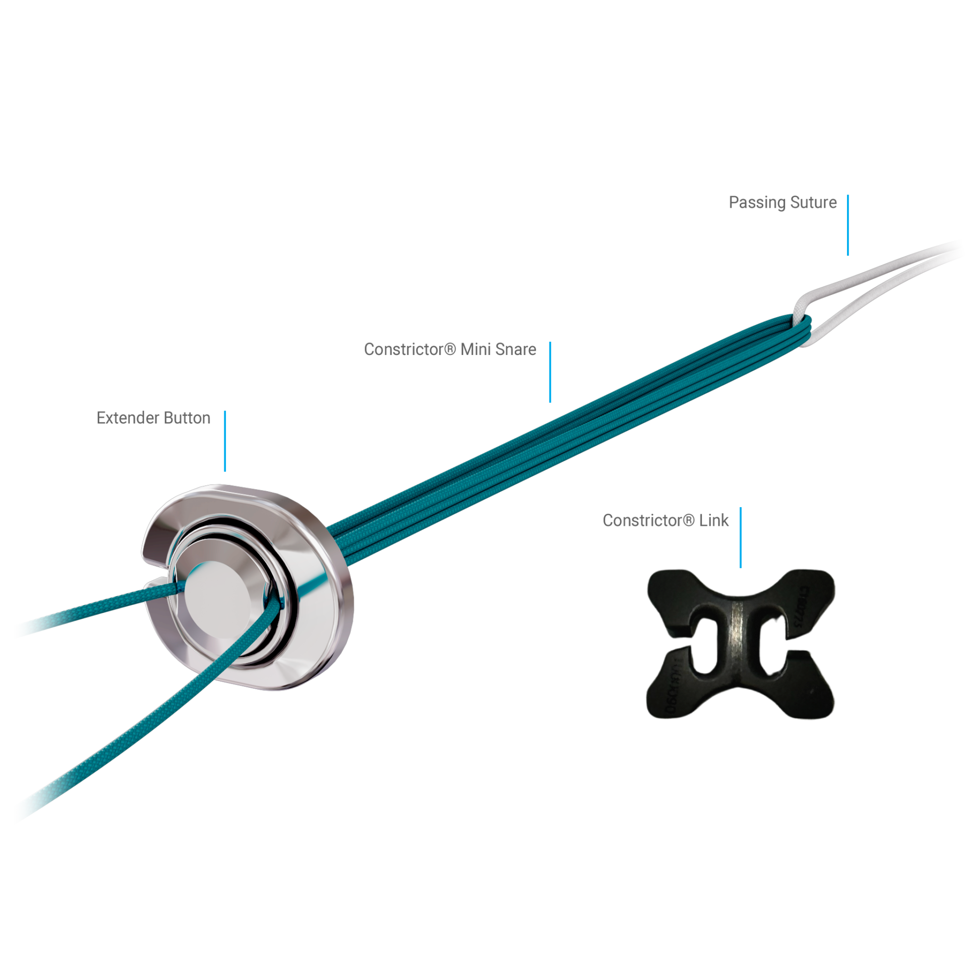 Constrictor® Mini Snare - Dunamis Medical