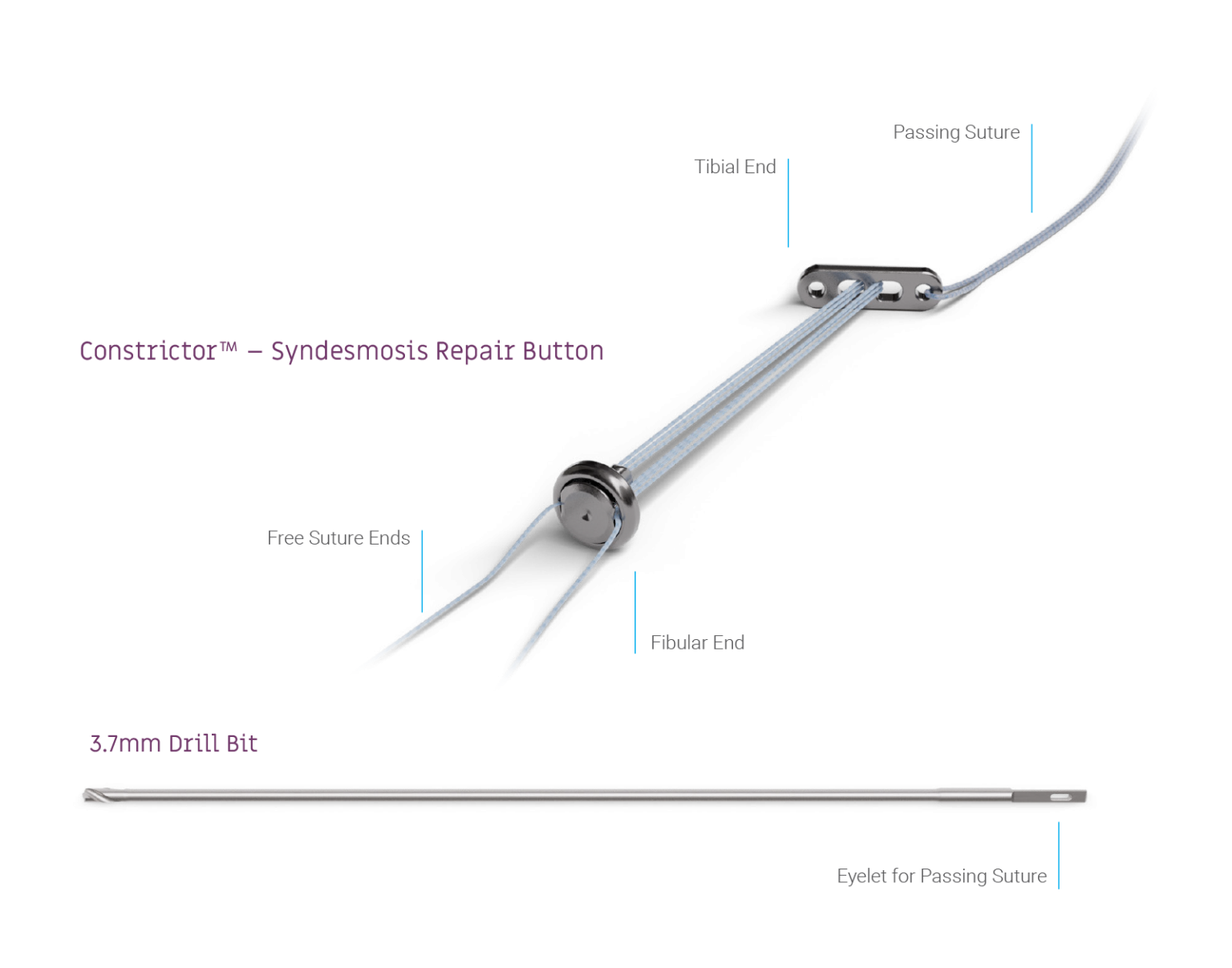 Constrictor® – Knotless Adjustable Button Technology - Dunamis Medical